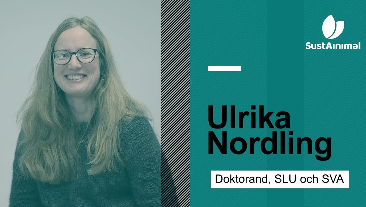 SLU Play - Swedish University of Agricultural Sciences