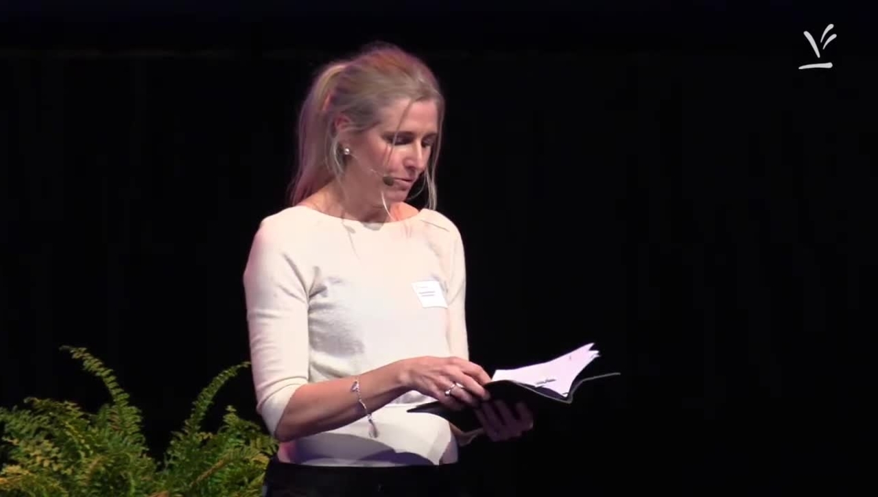 Vetenskapsrådet Play